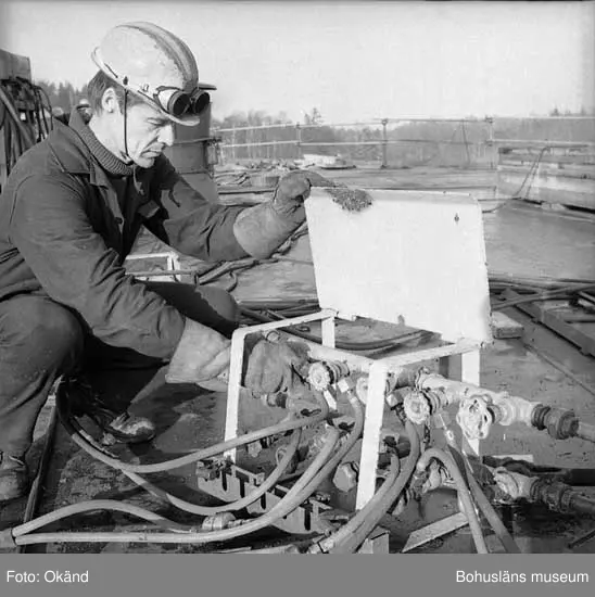 Lars-Inge Larsson med gaskrabba. - Bohusläns museum / DigitaltMuseum