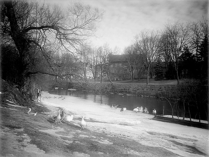 "Hasselbacken." - Bohusläns museum / DigitaltMuseum