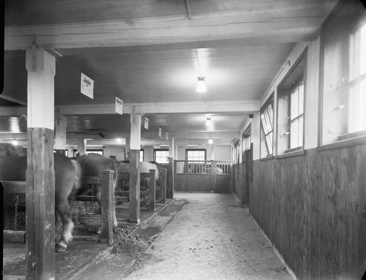Stall Interiör - ArkDes / DigitaltMuseum